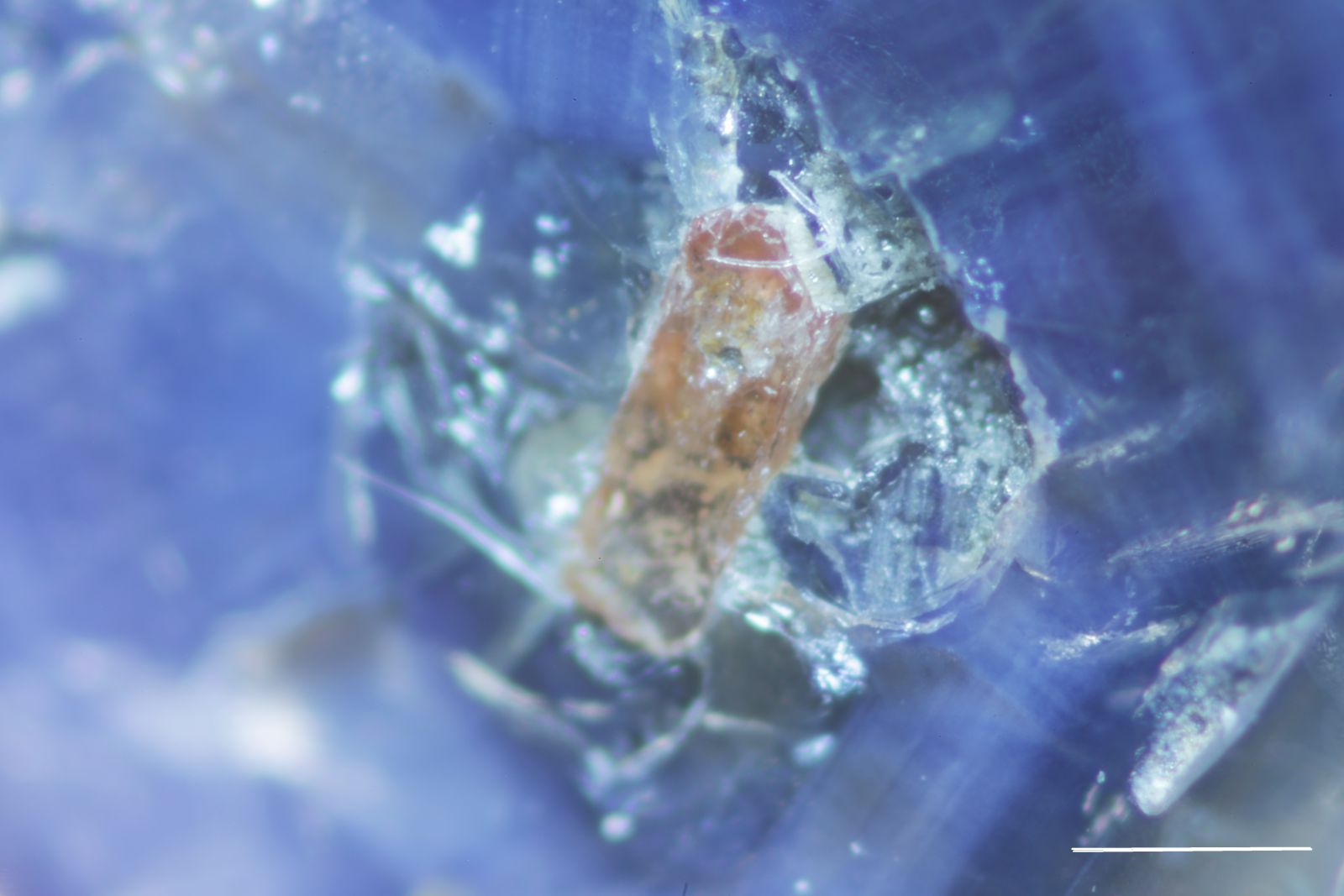 Trace element geochemistry and U-Pb dating of zircon inclusions in ...